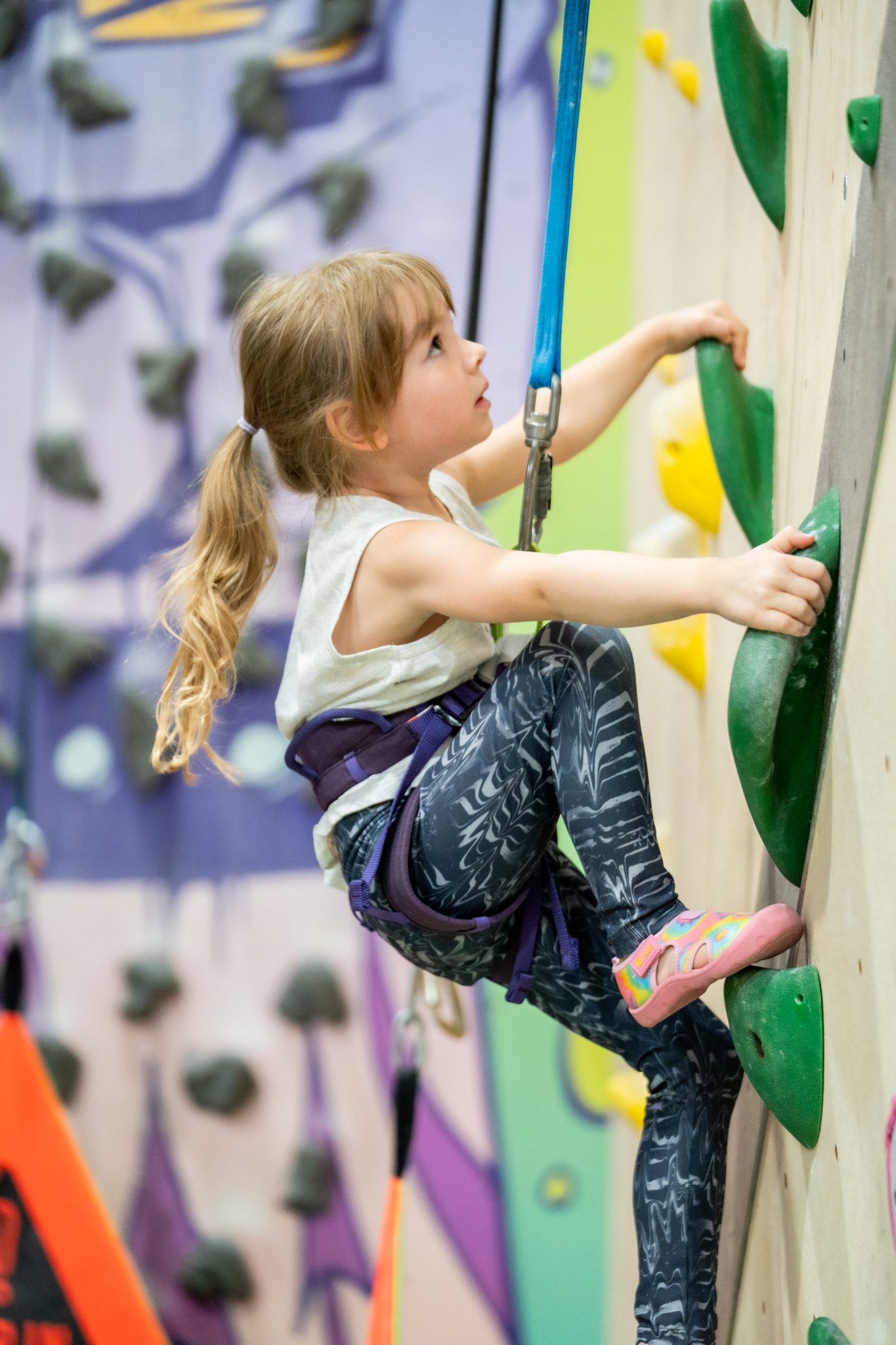 Go Bananas @ GRR - Grand River Rocks Climbing Gym